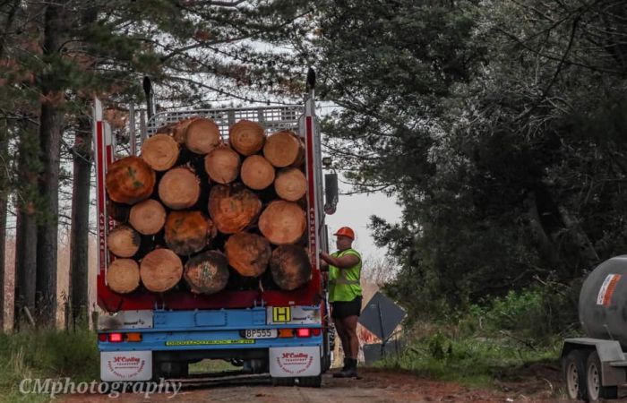 Home [www.mccarthytransport.co.nz]