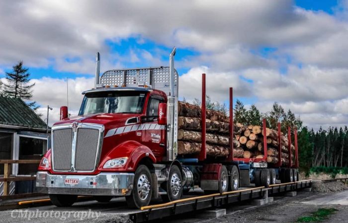 Home [www.mccarthytransport.co.nz]